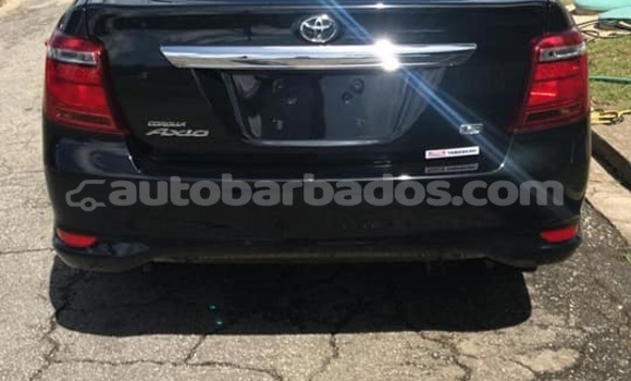 Buy and sell cars, motorbikes and trucks in Barbados - AutoBarbados